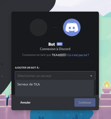 PYTHON : Stage programmation ados Python - Bot Discord (14-18 ans ...